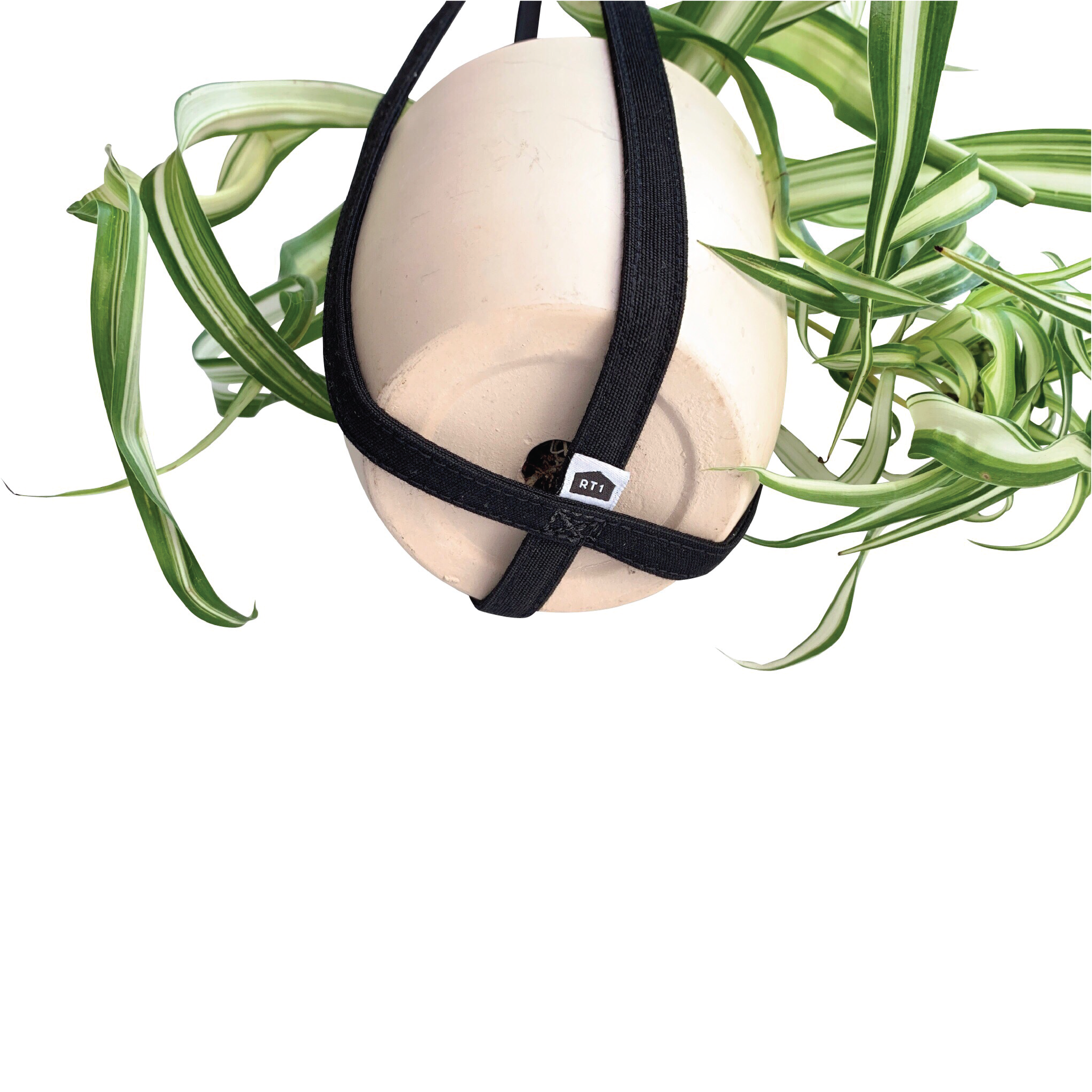 Plant Hanger – RT1home