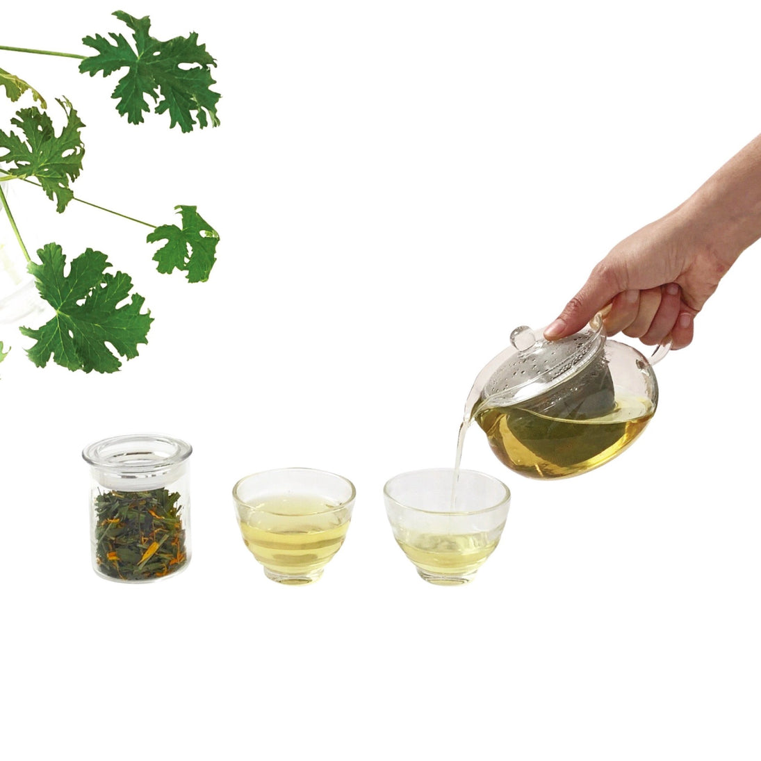 GLASS TEACUP – RT1home
