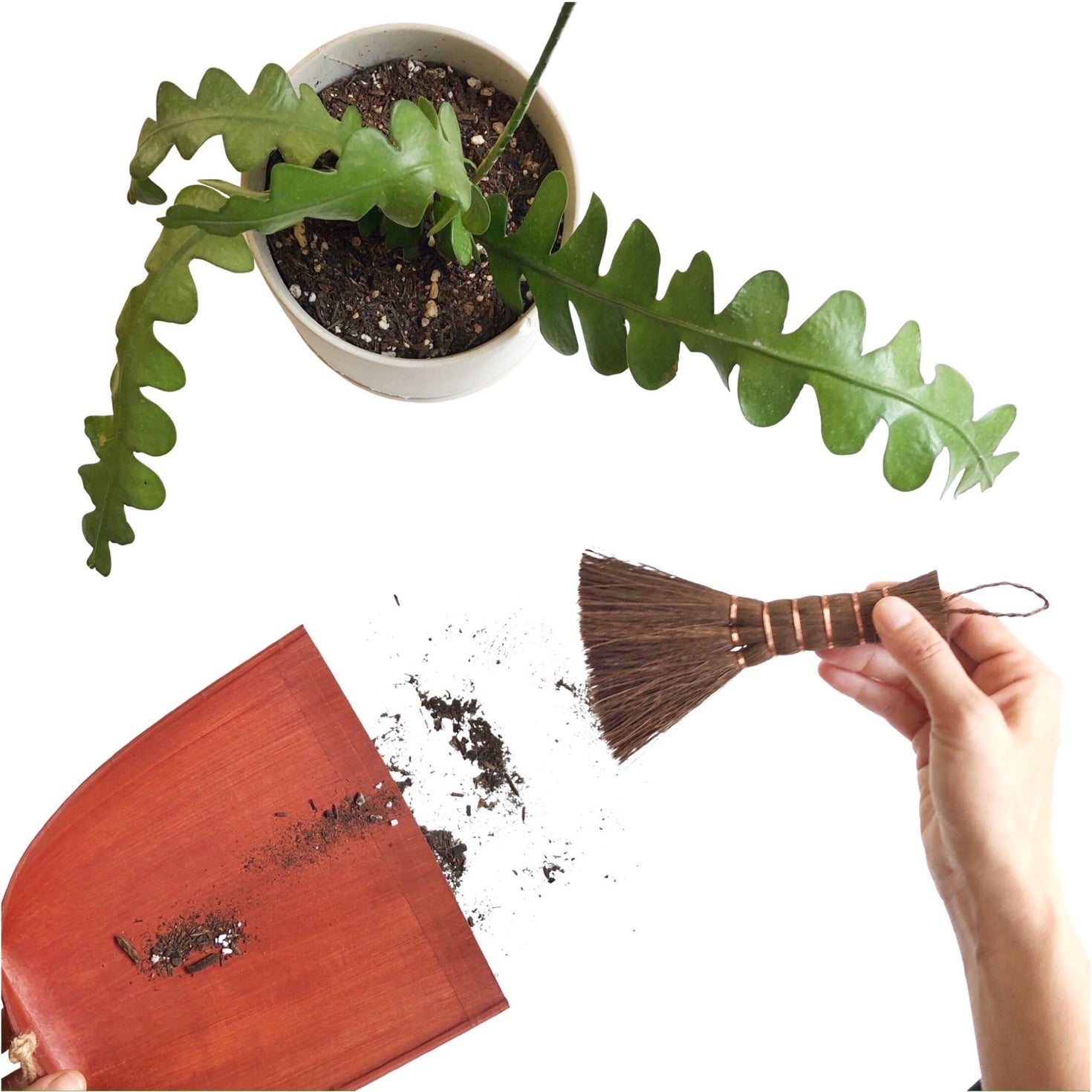 Harimi Dustpan – RT1home